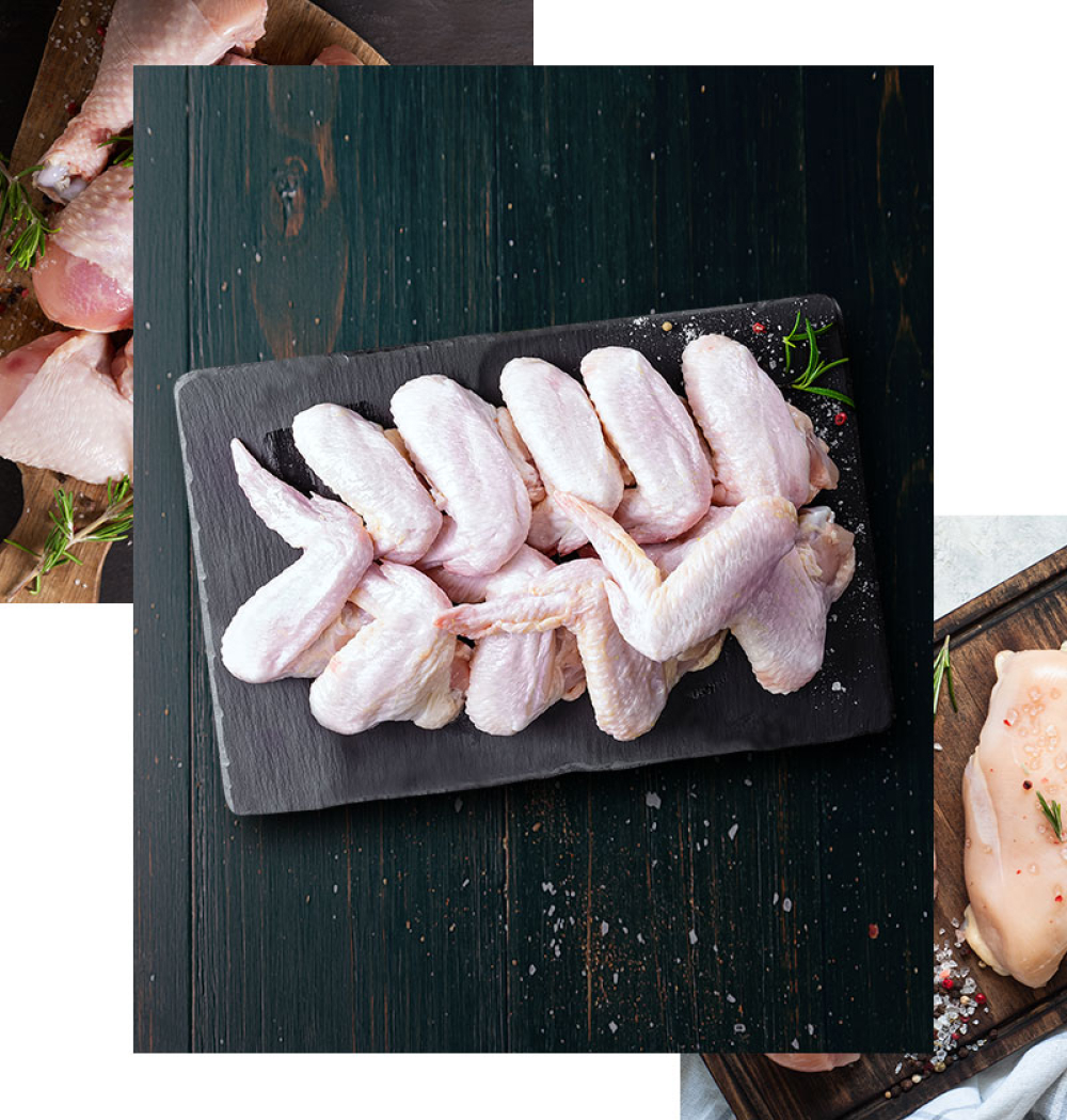 77 Hub Supply - Halal Chicken Supplier Johor Bahru (JB) Chicken Part ...